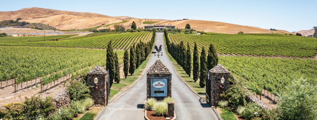 Winery Tasting Event | Sunrise Ranch Winery | American Canyon